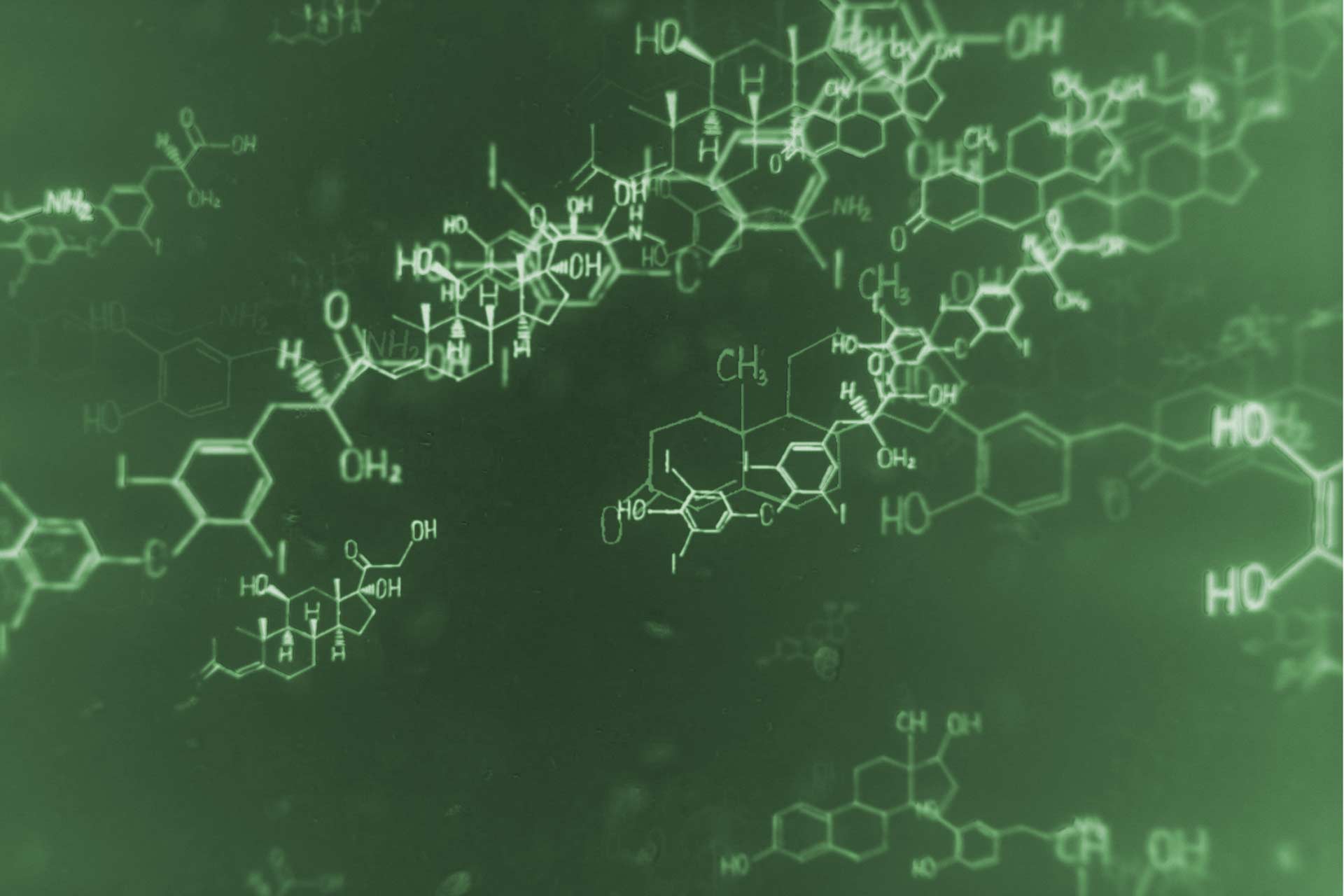 Taste Active Small Molecules in Plants Identified by Data Mining of ...